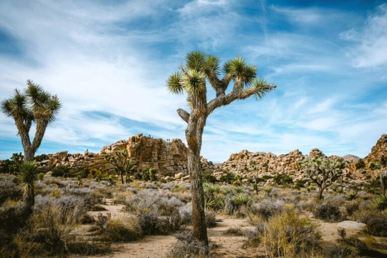 21 Life-Changing National Park Experiences in the USA