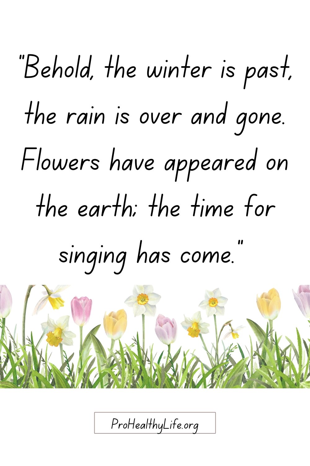 85 Spring Quotes and Sayings for a Fresh Start