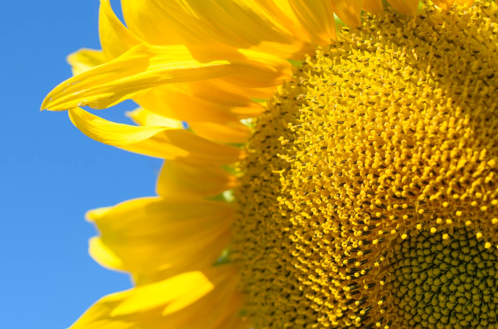 47 August Quotes to Refocus & Soak It In - Pro Healthy Life