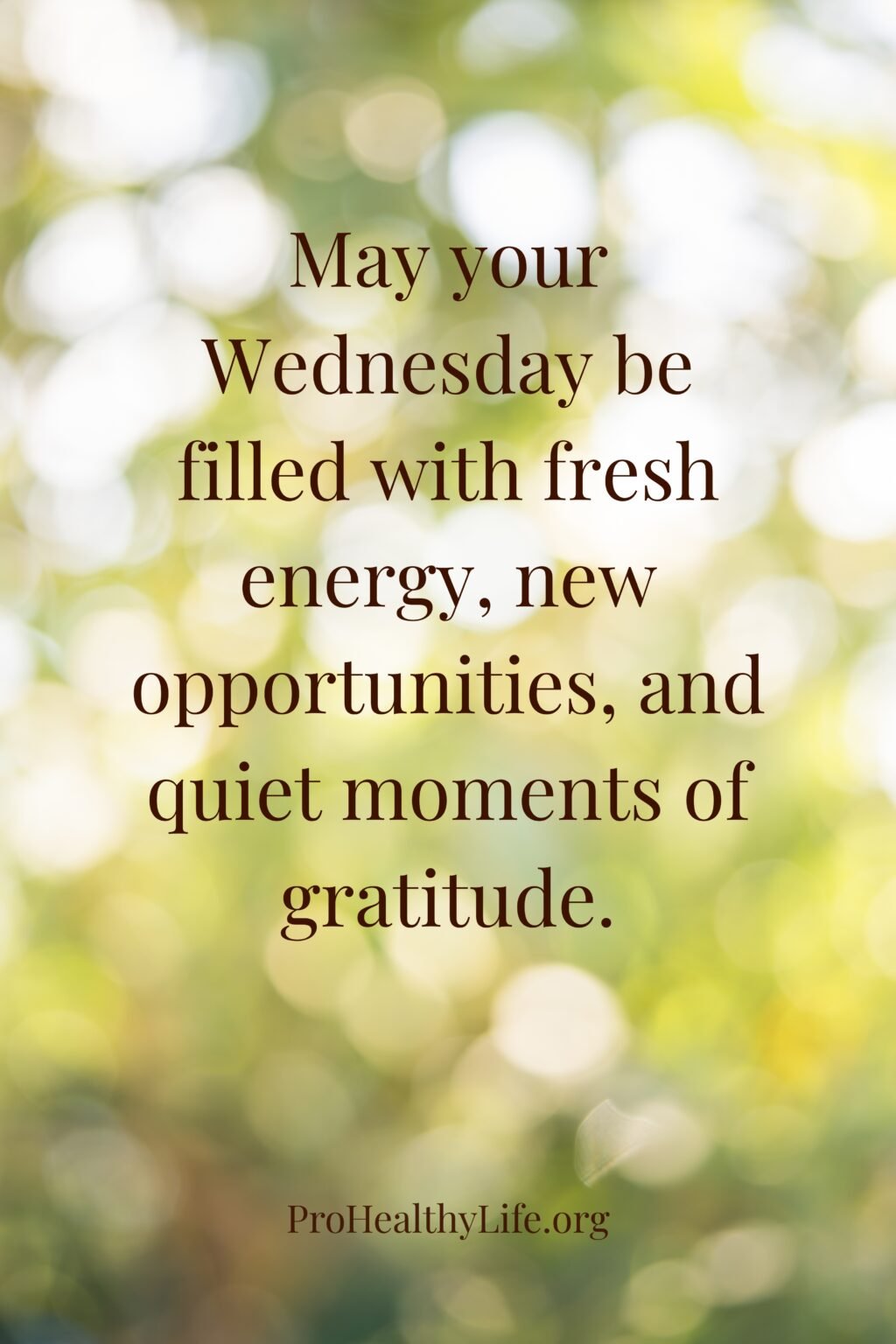 Wisdom Wednesday Quotes to Inspire Your Midweek - Pro Healthy Life