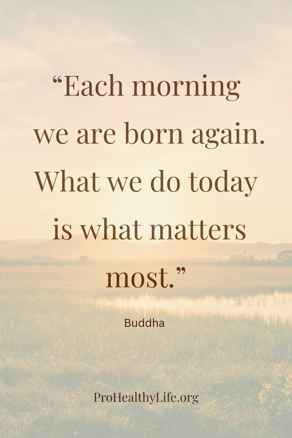 55 Unique Good Morning Quotes to Inspire a Fresh Start - Pro Healthy ...